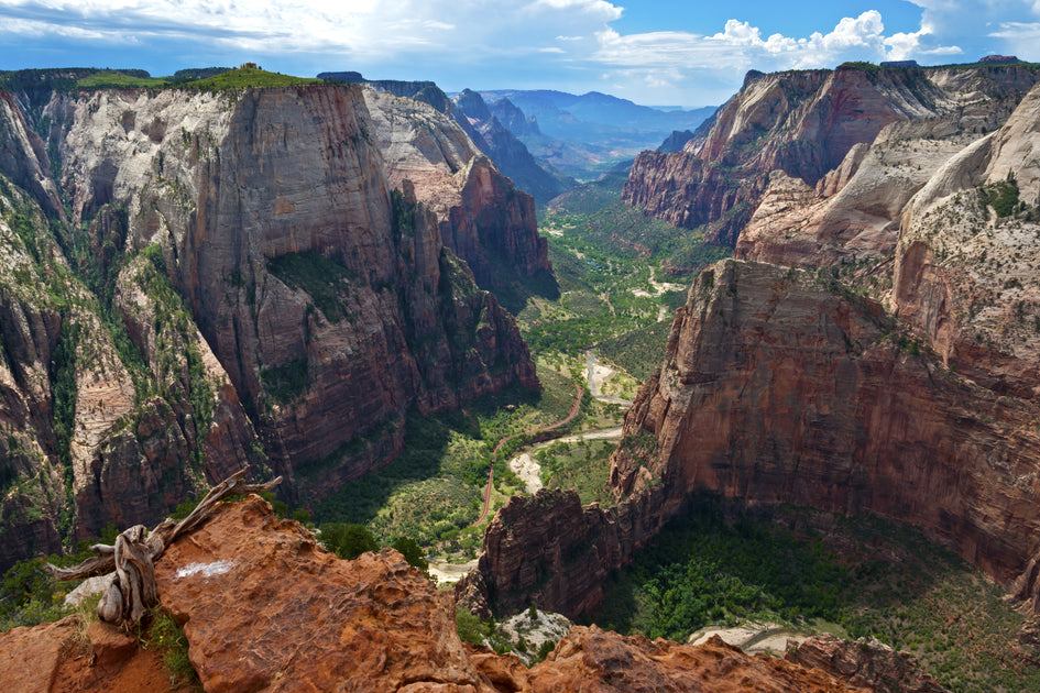 Zion National Park: A Majestic Beauty for Adventurers | It's A Wanderf ...